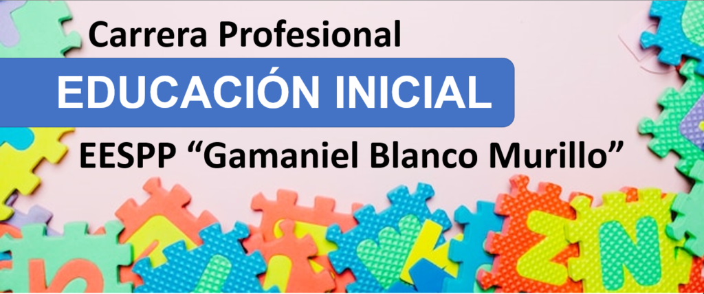 PROGRAMAS DE ESTUDIOS – GENERAL MENÚ - EESPP Gamaniel Blanco Murillo